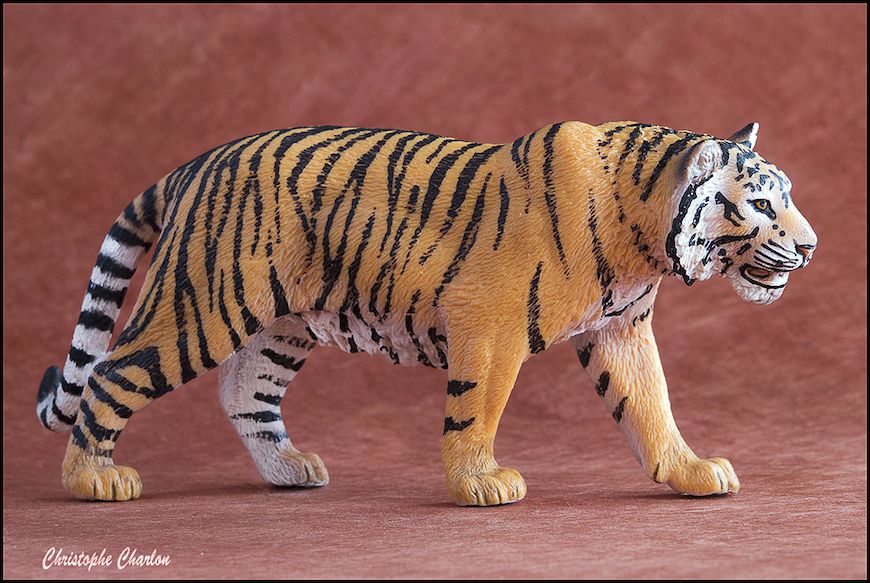 What's new on Kikimalou's diplays ? (updated April 4th 2015) - Page 44